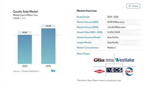 Caustic Soda Market Share Analysis Industry Trends And Statistics