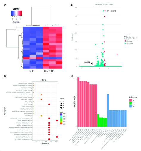Transcriptome Profiling Of The Oe Ccr9 Jurkat Cells Revealed