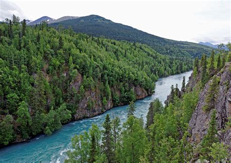 Kenai River Trail Alaska Photo Et Image Nature Montagne Arbres