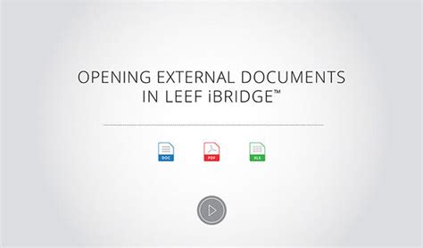 How To Use Leef Ibridge