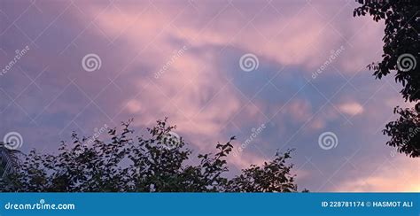 Colourful Sky With Tree Stock Photo Image Of Cloud