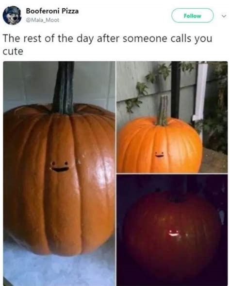 50 Best Halloween Memes So Funny Its Scary Yourtango