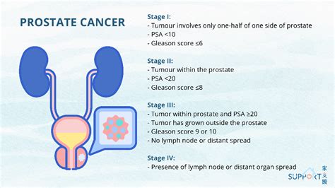 Prostate Cancer Stages Symptoms
