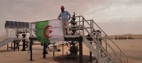 Hamza Boutaleb On Linkedin Hse Hseprofessionals Hseq Hse2022