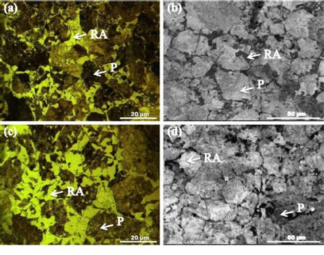 Microstructure Of Non Treated A Optical Micrograph B Sem Download Scientific Diagram