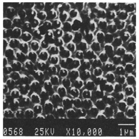 Scheme Of Sample Cutting Fig 3 Eutectic Microstructure Of The Head