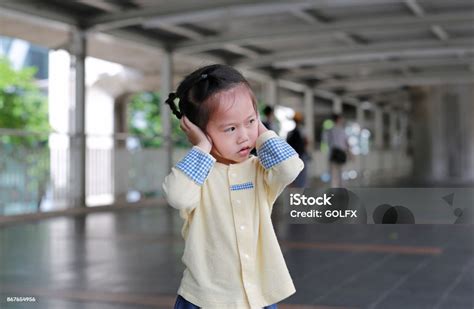 Gadis Kecil Yang Lucu Menutup Telinganya Memegang Tangannya Menutupi