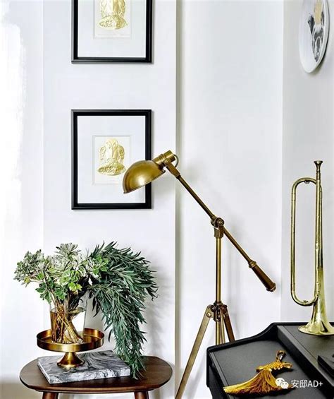 有这样的家，黄金单身汉谁还结婚？！ 新加坡新闻