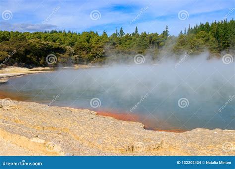 Sinter Ledges Of Champagne Pool In Wai O Tapu Termal Wonderland Stock