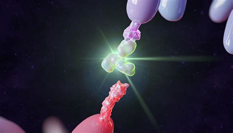 Ethnicitys Role In Checkpoint Blockade Therapies Moffitt