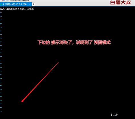 Linux Vim编辑命令 Linux Vim保存退出命令ctrlv进入块模式 白眉大叔