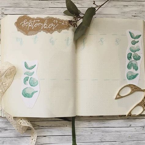 Eucalyptus Leaf Drawing