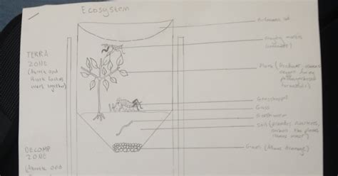 The Bugzone Self Sustaining Ecosystem Annotated Diagram