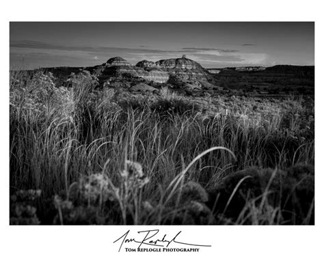 Tom Replogle On Linkedin Photooftheday Picoftheday Photography Landscape Landscapes