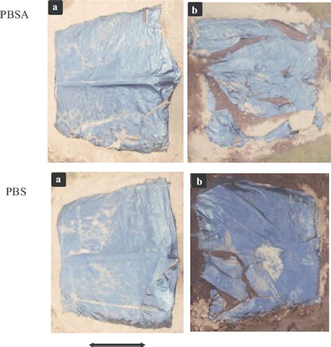 Degradation Of Pbsa Mulch Film And Pbs Film Over 10 Days Following