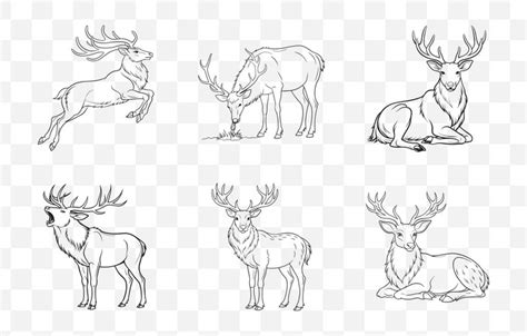 Elk Line Art Vector Set For Graphic Design Projects And Creative