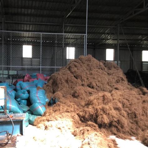 Growing Coco Peat Blockscoconut Peat Block For Garden Coco Powder