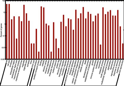 Histogram Of Go Classifications Of The Assembled I Indigotica