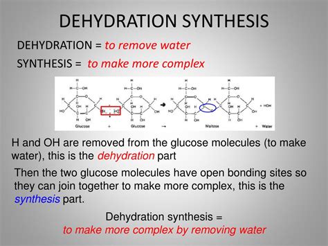 Ppt Basic Chemistry Biochemistry Powerpoint Presentation Free