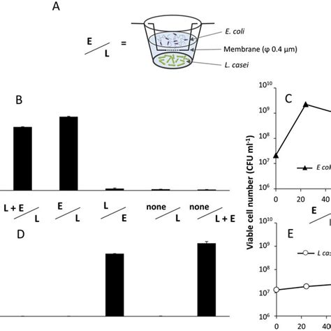 Growth Of L Casei And E Coli In A Membrane Culture System A Download Scientific Diagram