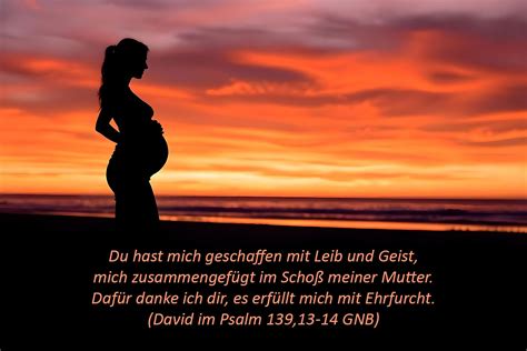 Edp Aktuell 2025 10 05 Elí Diez Prida Online