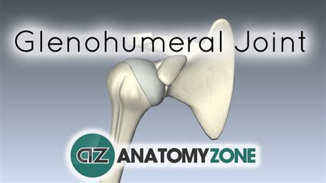Upper Limb 3d Interactive Anatomy Tutorials
