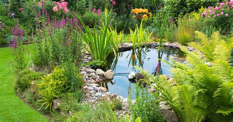 56 Most Popular Garden With Pond Minimalist Home