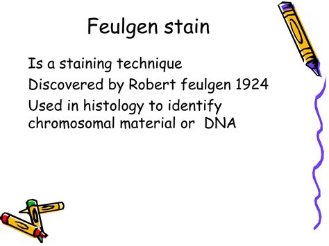 Feulgen Stain Ppt