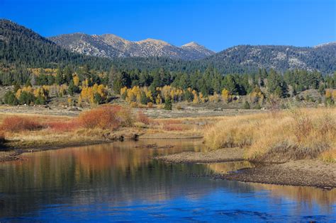 Why Hope Valley Is The Best Place To Stay Near South Lake Tahoe