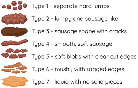 What Are The Main Causes Of Constipation