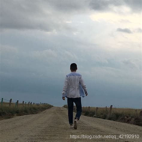 Instance Normalization The Missing Ingredient For Fast Stylization Csdn博客