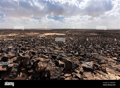 Desert Kite Kite Site Is Ancient Ruins As Trap For Hunting Made By