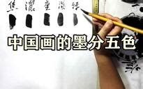 中国画的墨分五色 国画基础知识 小石国画入门 哔哩哔哩