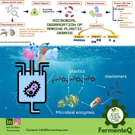 Harnessing Microbial Power For Marine Plastic Biodegradation Tackling