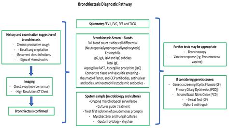 Insights Into Personalised Medicine In Bronchiectasis