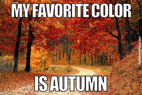 30 Hilarious Autumn Memes To Get You In The Fall Spirit