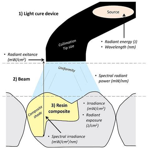 Light Curing Composite Composition At Joseph Heil Blog