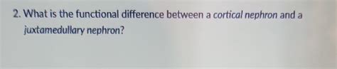 Solved What Is The Functional Difference Between A Chegg