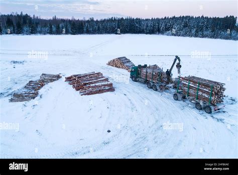 Loading Wood Truck Next To Pile Of Timber And In Front Of A Forest In Estonia Northern Europe