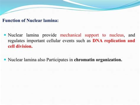 Nucleus Structure And Nuclear Pore Complex Pptx Biological Sciences Science