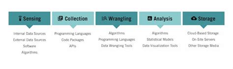 5 Key Elements Of A Data Ecosystem