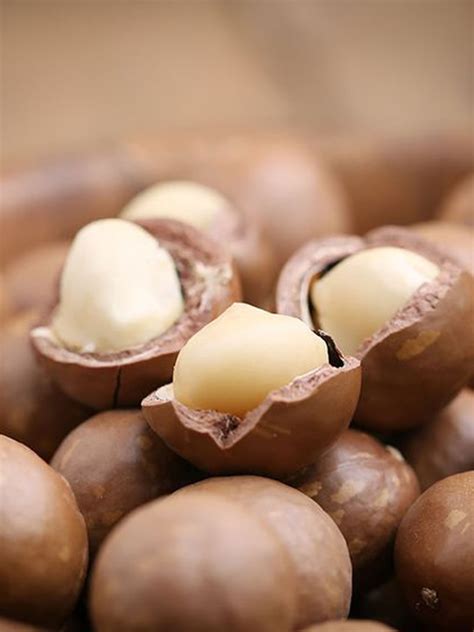 Macadamia Nuts Maravi Traders