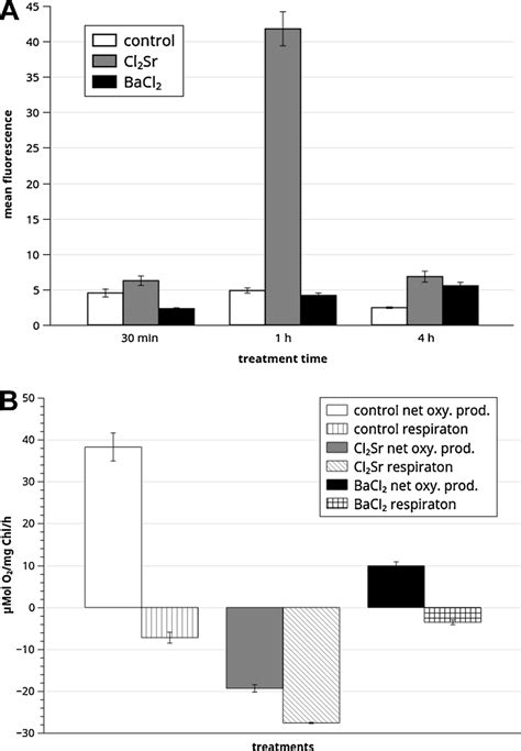 A Measurement Of Ros Production In Micrasterias Cells By H 2 Download Scientific Diagram