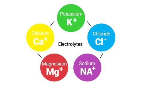 Understanding Electrolyte Intake How Much Do You Really Need