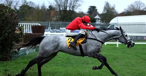 No Joy For Gordon Elliott After Storm Darragh Chaos At Sandown Irish Mirror Online