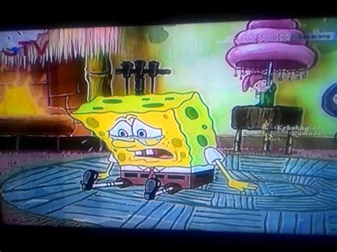Spongebob Squarepants Granmas Kisses Prt 2 Video Dailymotion