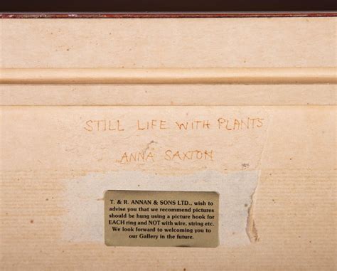 Anna Saxton Anna Saxton 20th Century Oil Still Life With Plants