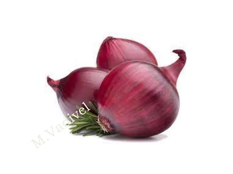 Fundamental Analysis Including Economy Industry Company Analysis Pptx Stocks And Bonds