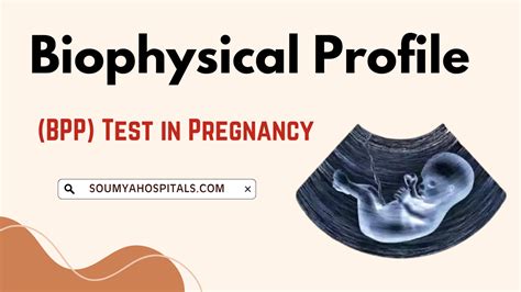 Biophysical Profile Bpp Test In Pregnancy Purpose Process Pros And Cons