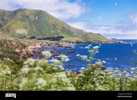 Landscape Weston Beach Point Lobos Monterrey California Usa Stock